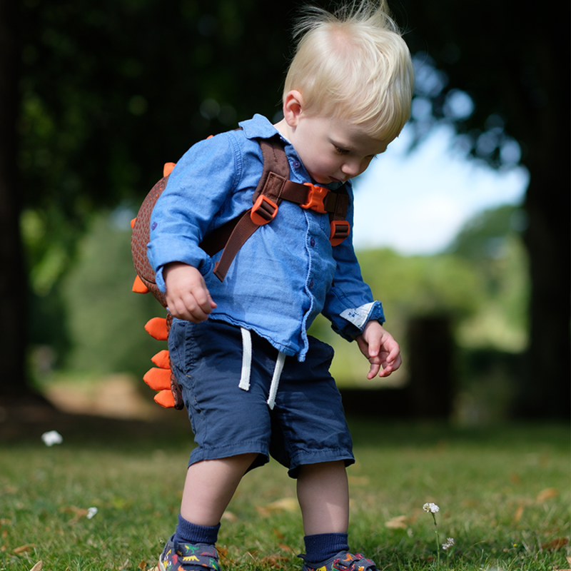Littlelife Backpack with Rein 2L Dinosaur